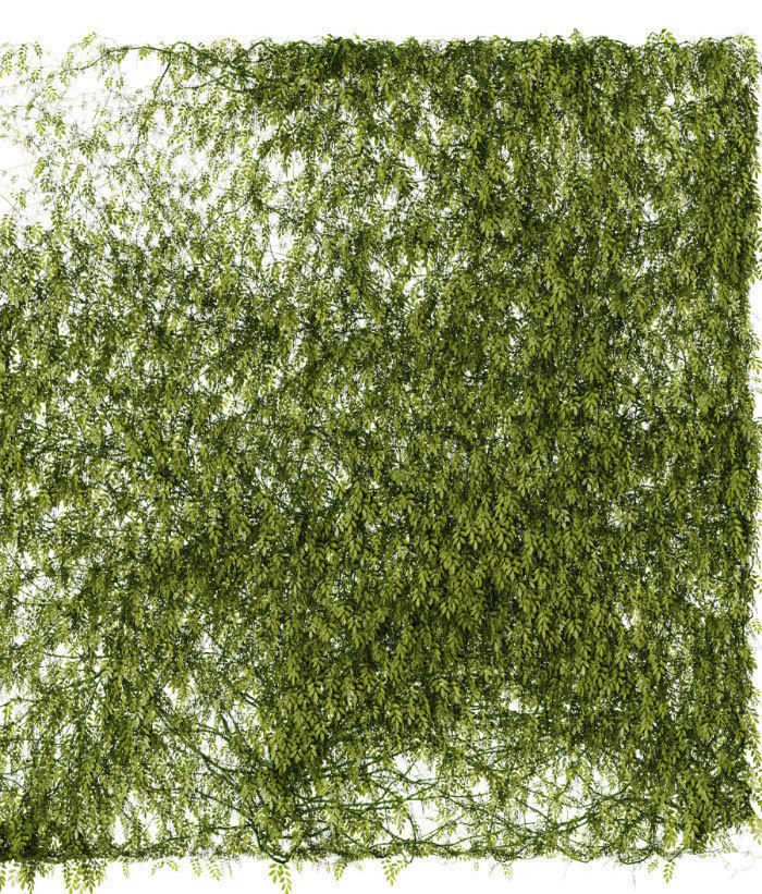 Set of 2 leaf patterns for walls or fences 3D model | CGTrader