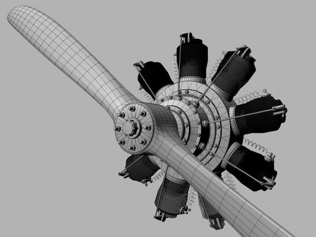 French Gnome 9N Monosoupape rotary engine 3D model | CGTrader