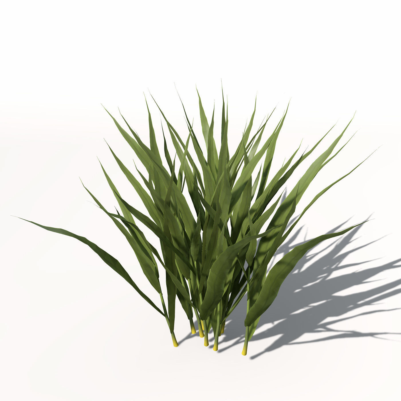XfrogPlants Rice 3D model | CGTrader