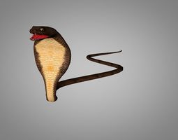 Rigged Python snake 3D Models | CGTrader