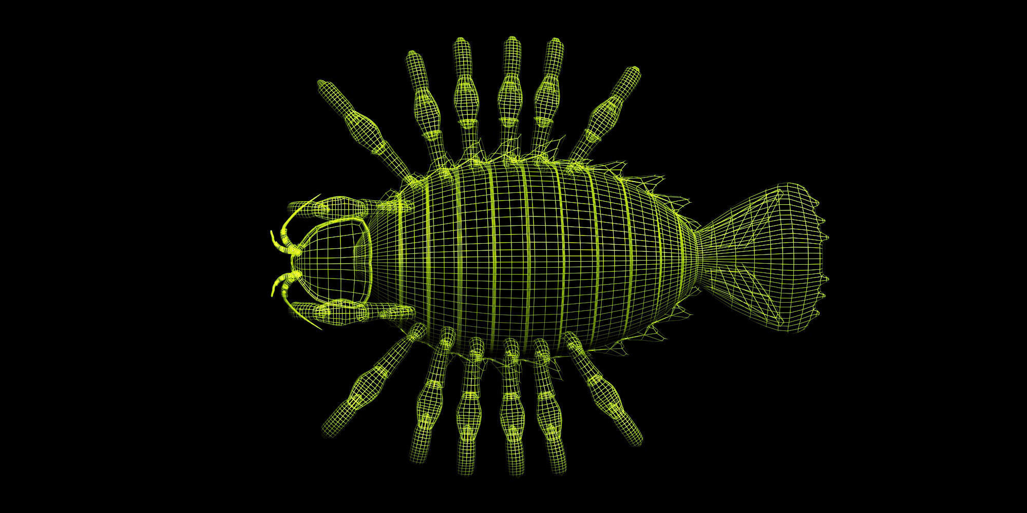 3D model Giant Isopod VR / AR / low-poly | CGTrader