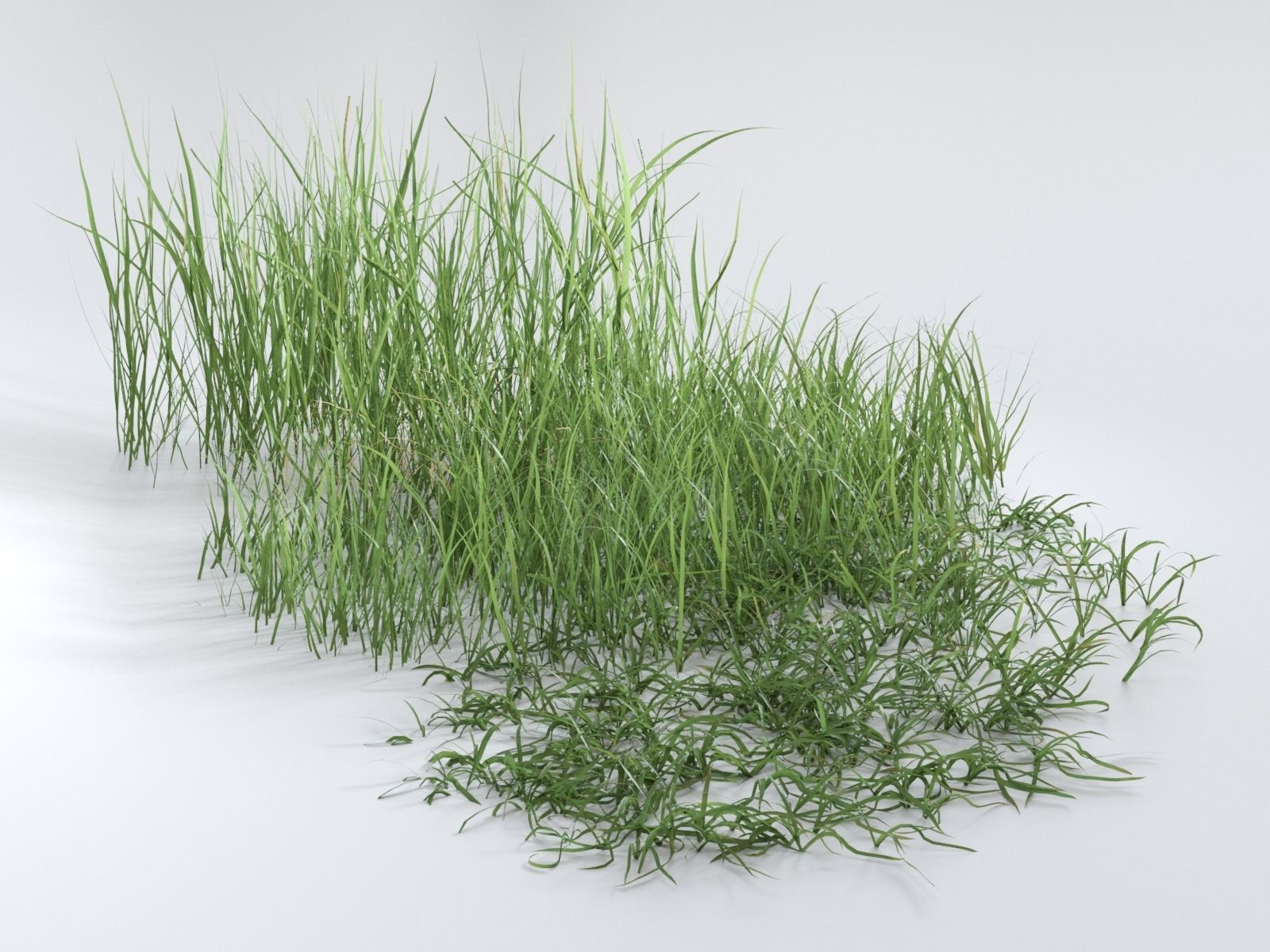 Grass Patches Green Meadow 3D model | CGTrader