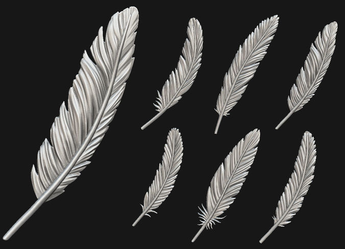 Feather Set 3D model 3D printable | CGTrader
