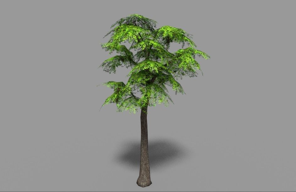 3D model low poly leaf tree VR / AR / low-poly | CGTrader