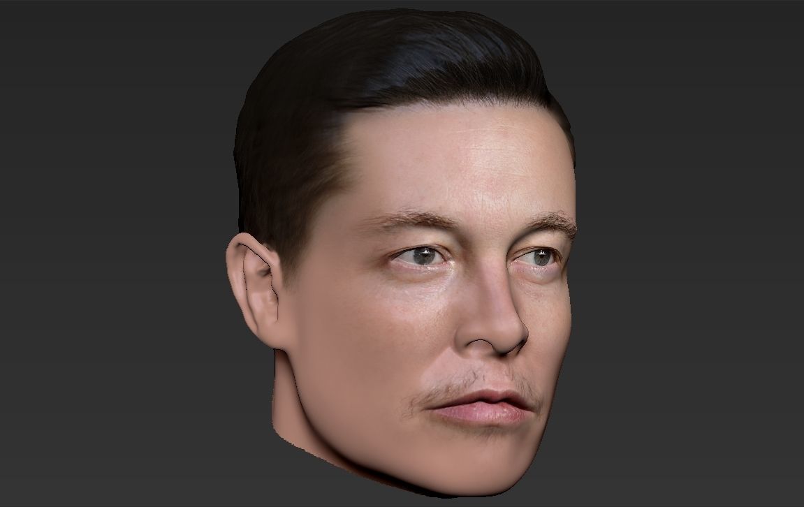 Elon Musk 3D model | CGTrader