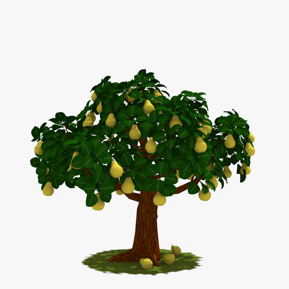 Cartoon Pear Tree 3D model | CGTrader