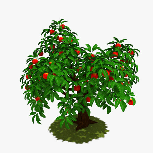 3D model Cartoon Peach Tree VR / AR / low-poly | CGTrader