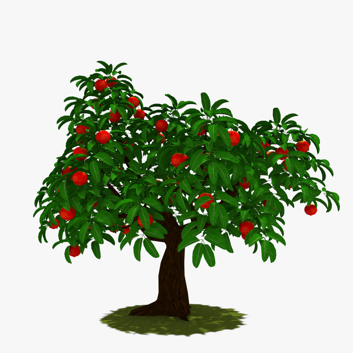 3D model Cartoon Peach Tree VR / AR / low-poly | CGTrader