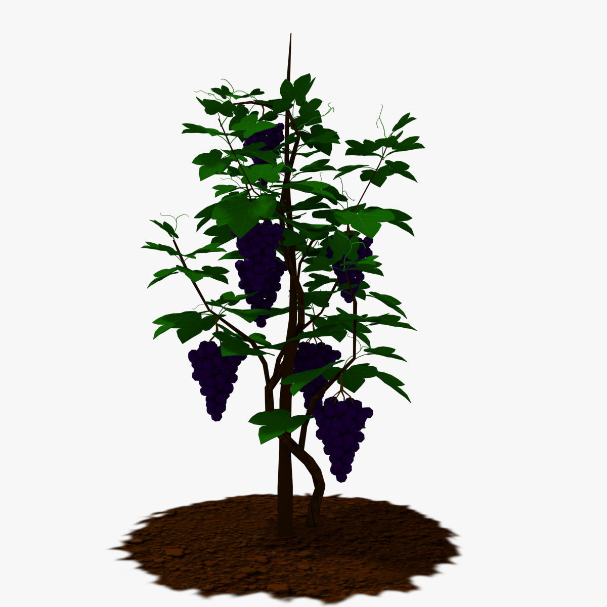 3D model Cartoon Grape Plant VR / AR / low-poly | CGTrader