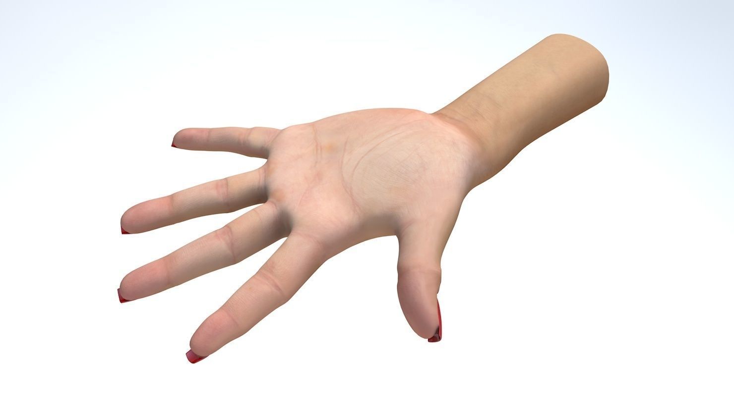 3D model Hand 3d model left female VR / AR / low-poly | CGTrader