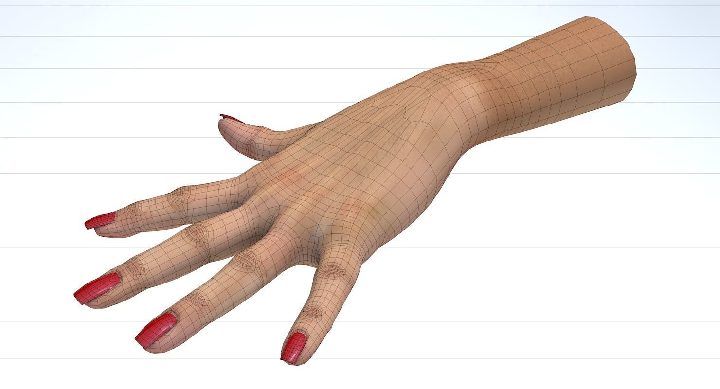 3D model Hand 3d model left female VR / AR / low-poly | CGTrader