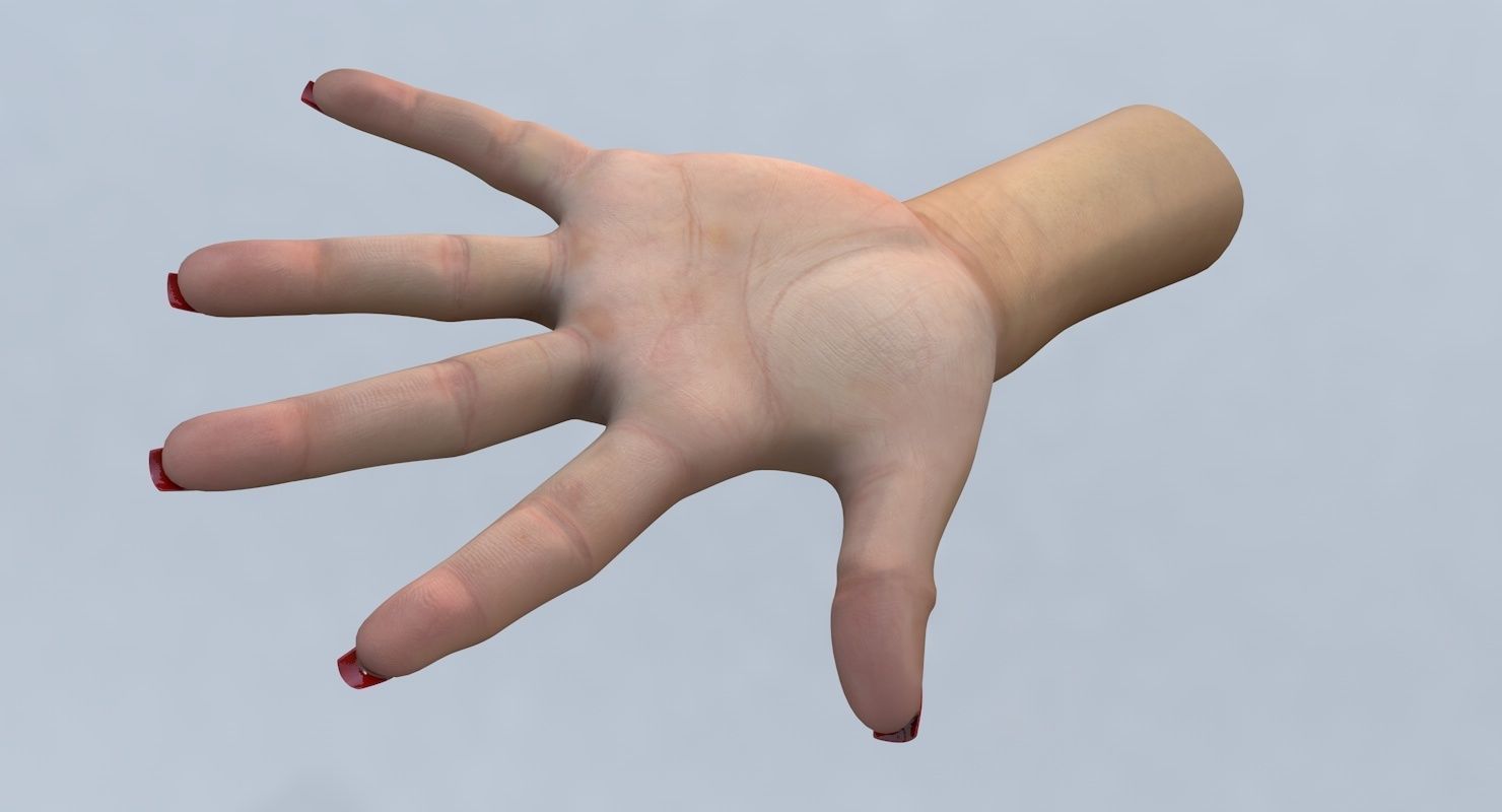 3D model Hand 3d model left female VR / AR / low-poly | CGTrader