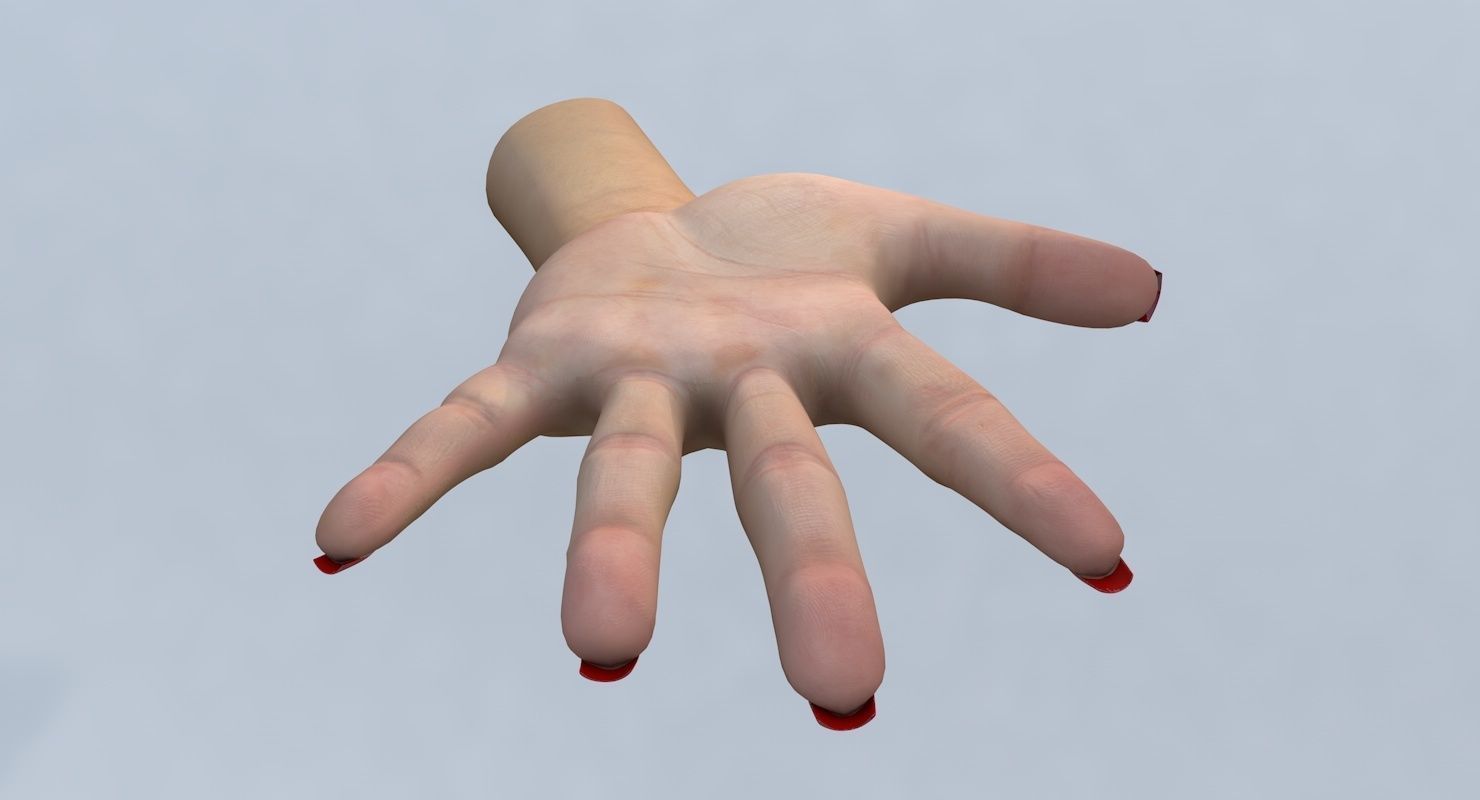 3D model Hand 3d model left female VR / AR / low-poly | CGTrader