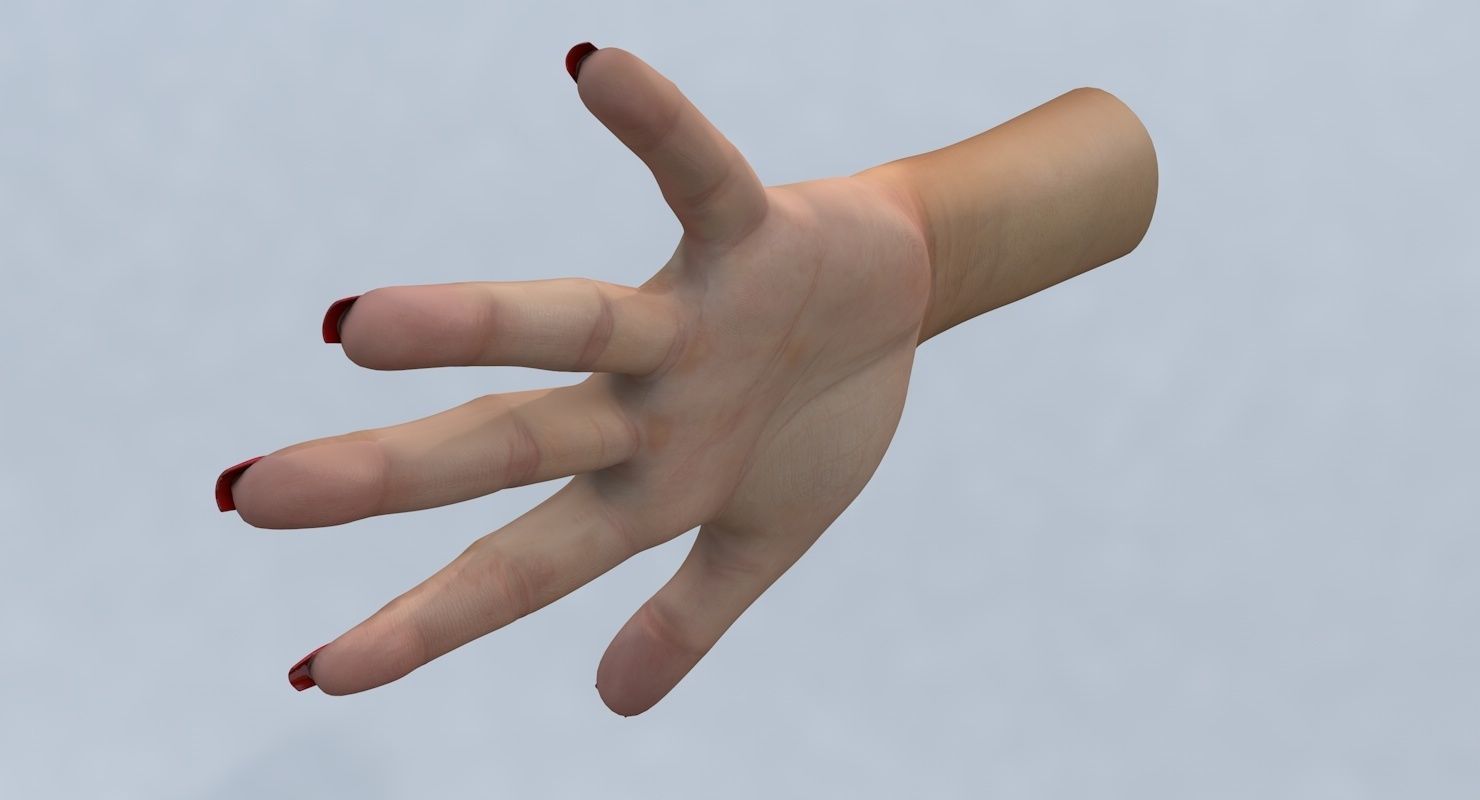 3D model Hand 3d model left female VR / AR / low-poly | CGTrader