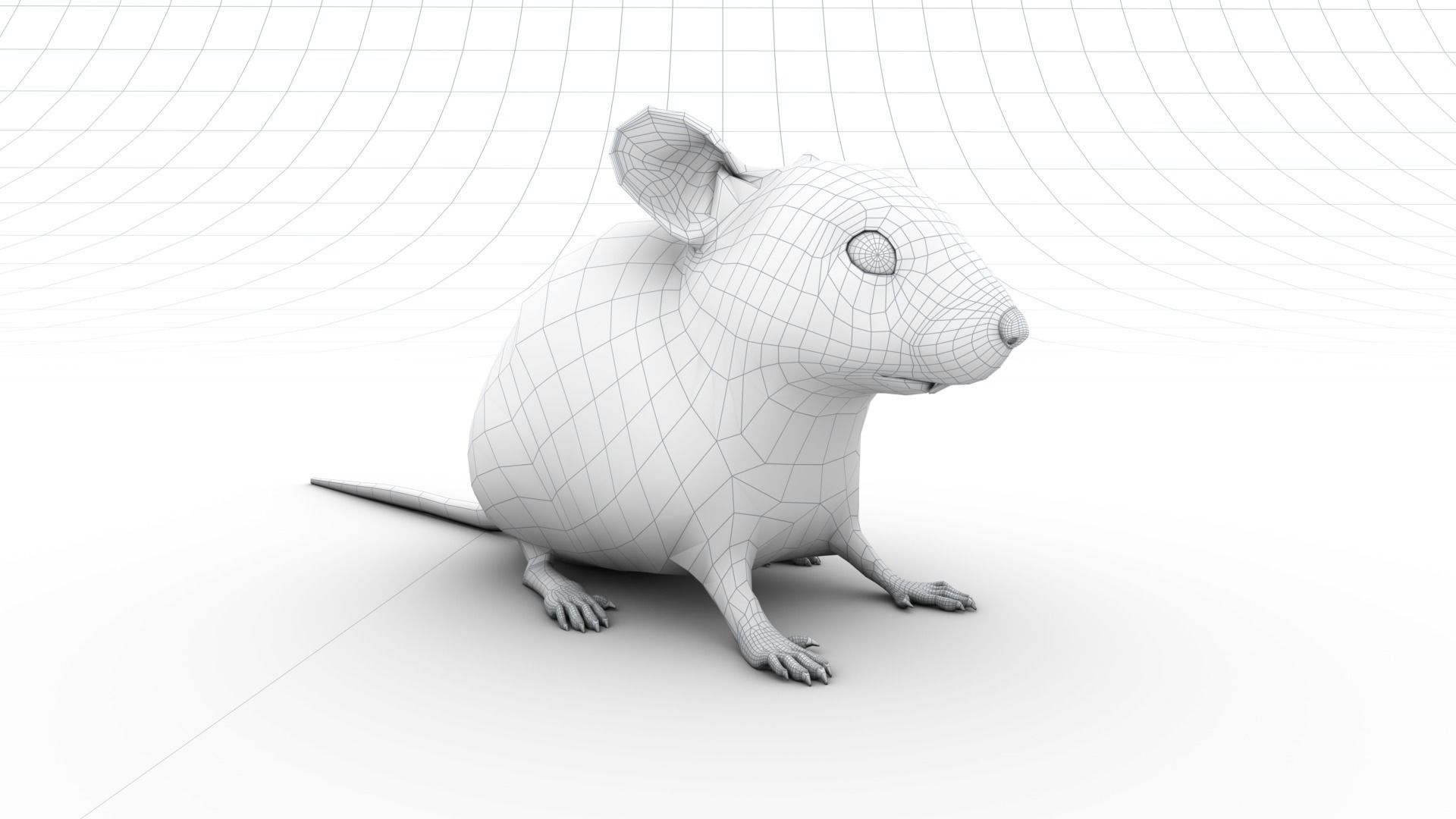 3D model Mouse- realistic style - White fur - rigged VR / AR / low-poly ...