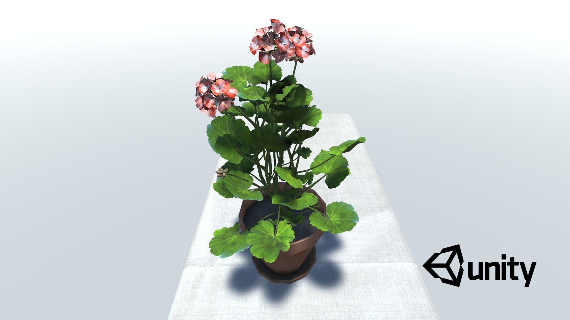 3D model Geranium Flower VR / AR / low-poly | CGTrader