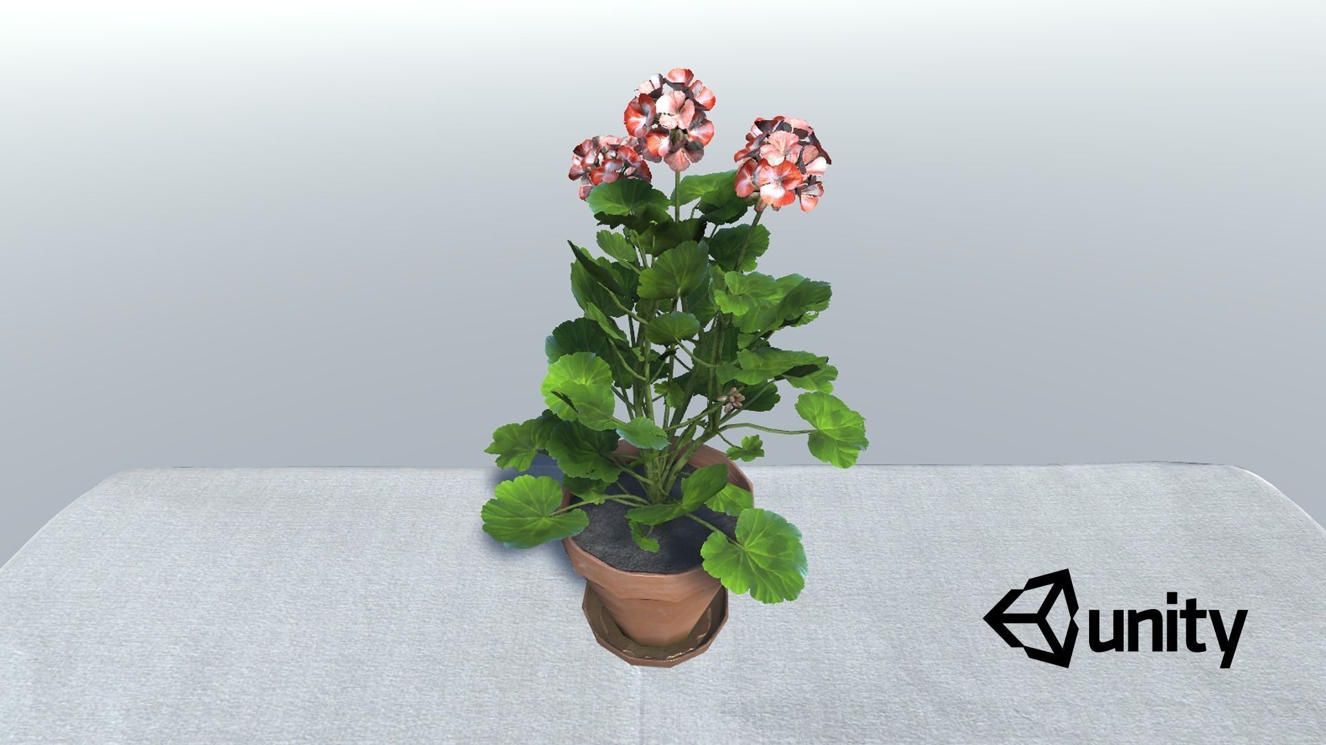 3D model Geranium Flower VR / AR / low-poly | CGTrader