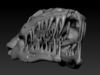 Anaconda Skull 3D model 3D printable | CGTrader