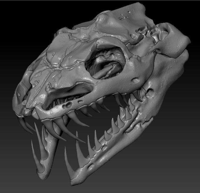 Anaconda Skull 3D print model | CGTrader