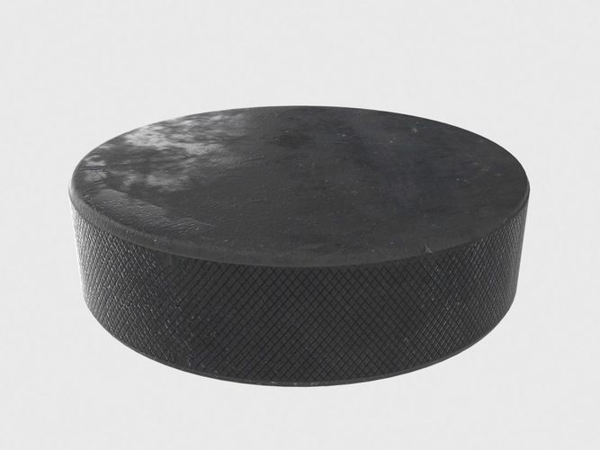 Hockey Puck 3D model | CGTrader