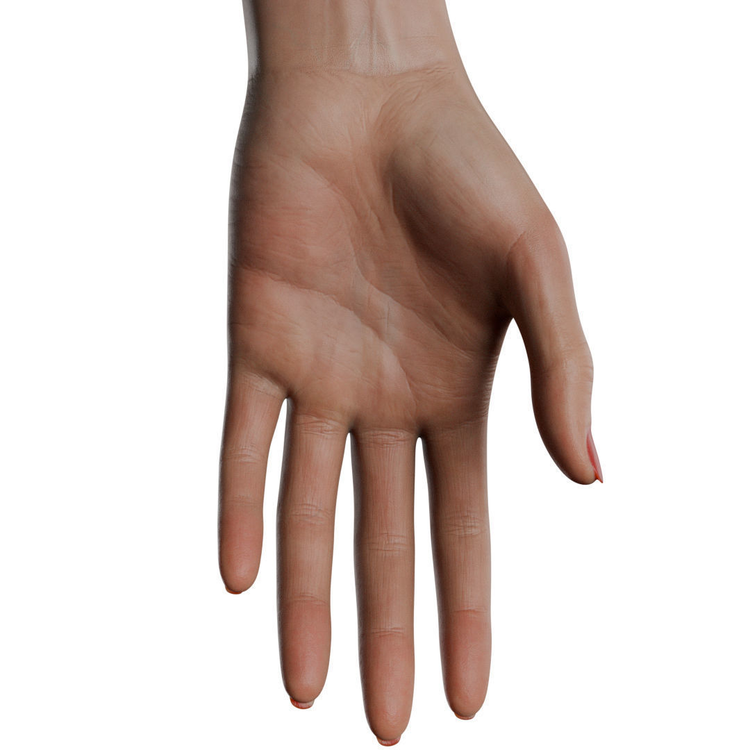 3D model Female Hand VR / AR / low-poly rigged | CGTrader