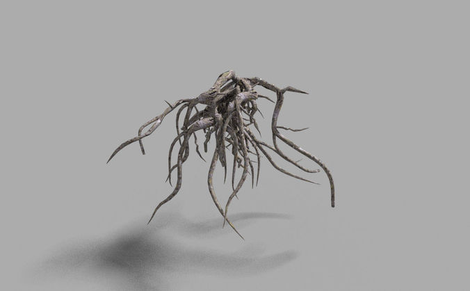 3D model low poly tree root 2 VR / AR / low-poly | CGTrader