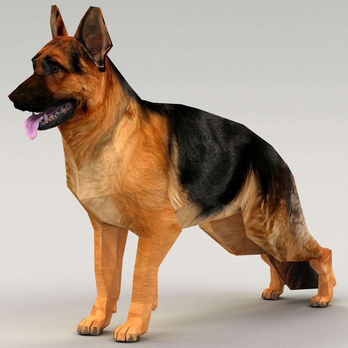 3D model germanshepherd dog GSD VR / AR / low-poly | CGTrader