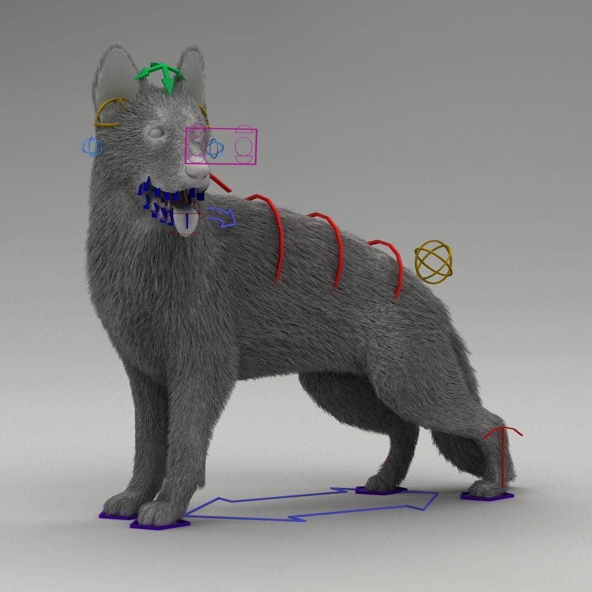Rigged Dog 3D model rigged | CGTrader
