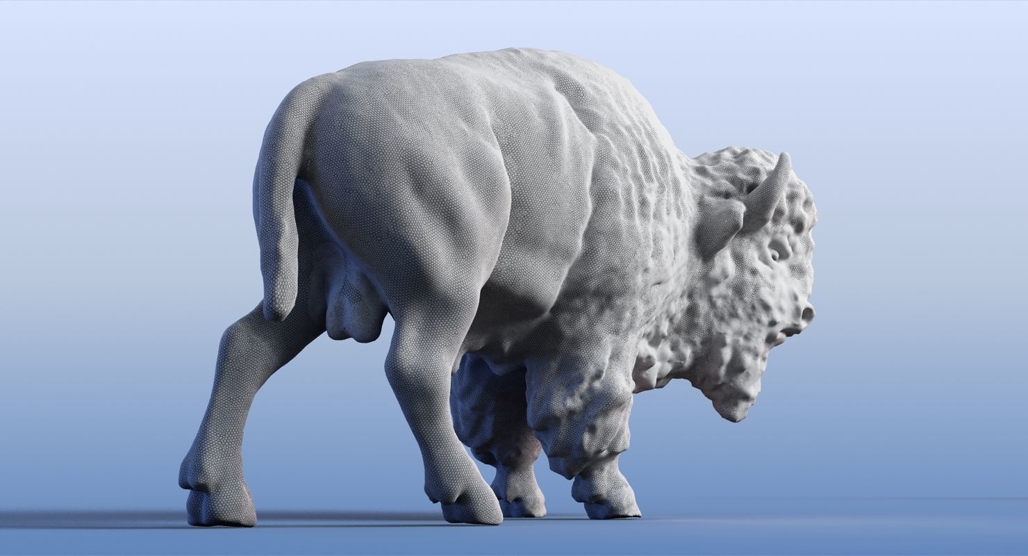 3D Bison 3D model | CGTrader