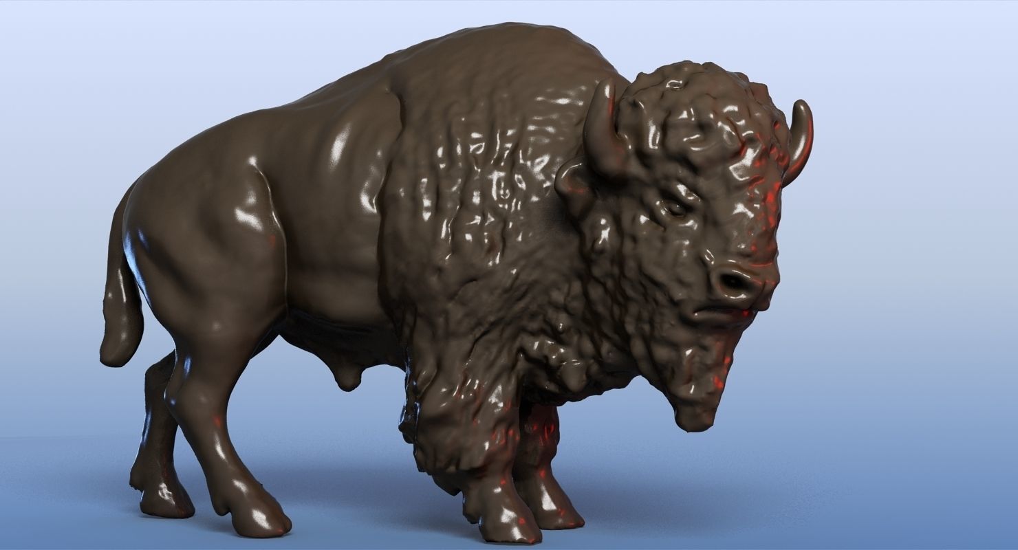 3D Bison 3D model | CGTrader