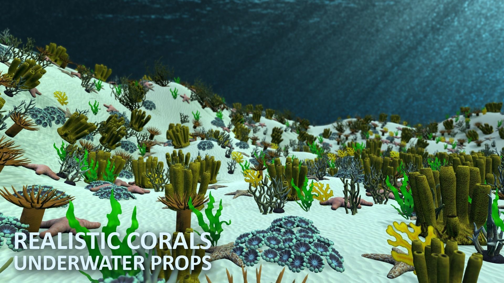 Realistic corals - underwater props 3D model | CGTrader