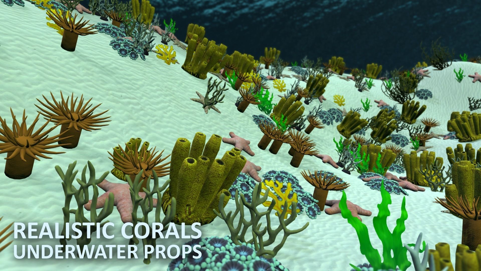 Realistic corals - underwater props 3D model | CGTrader