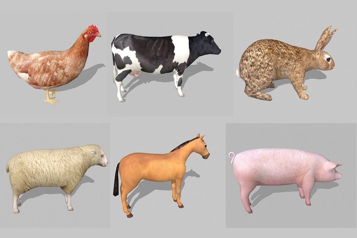 3D model farm animals VR / AR / low-poly MAX OBJ FBX MA MB - CGTrader.com