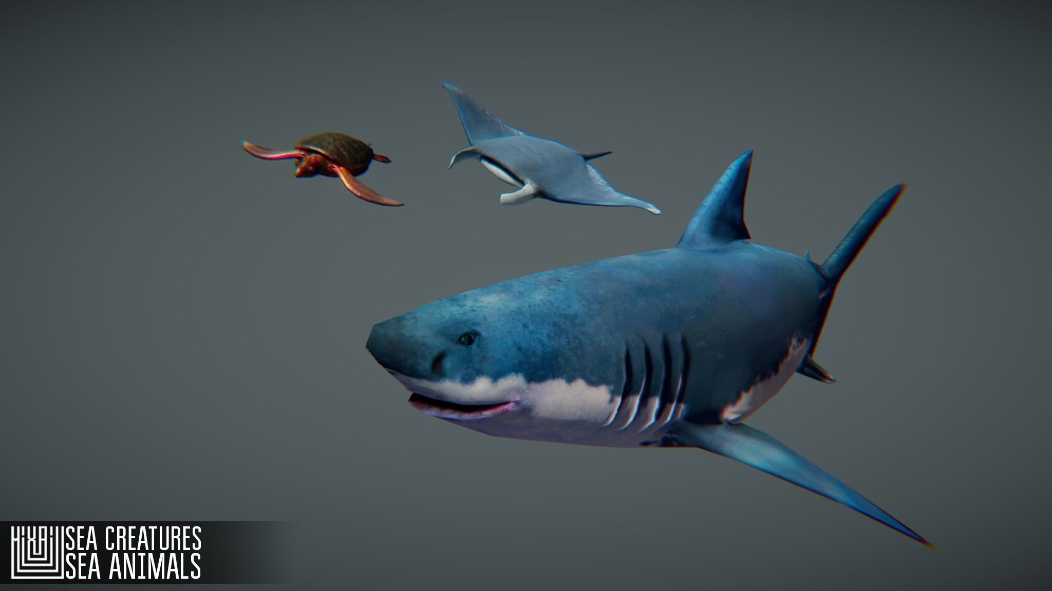 3D model Sea Creatures VR / AR / low-poly rigged animated | CGTrader
