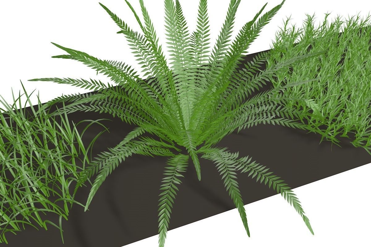 Herbage Various Set 3D model | CGTrader