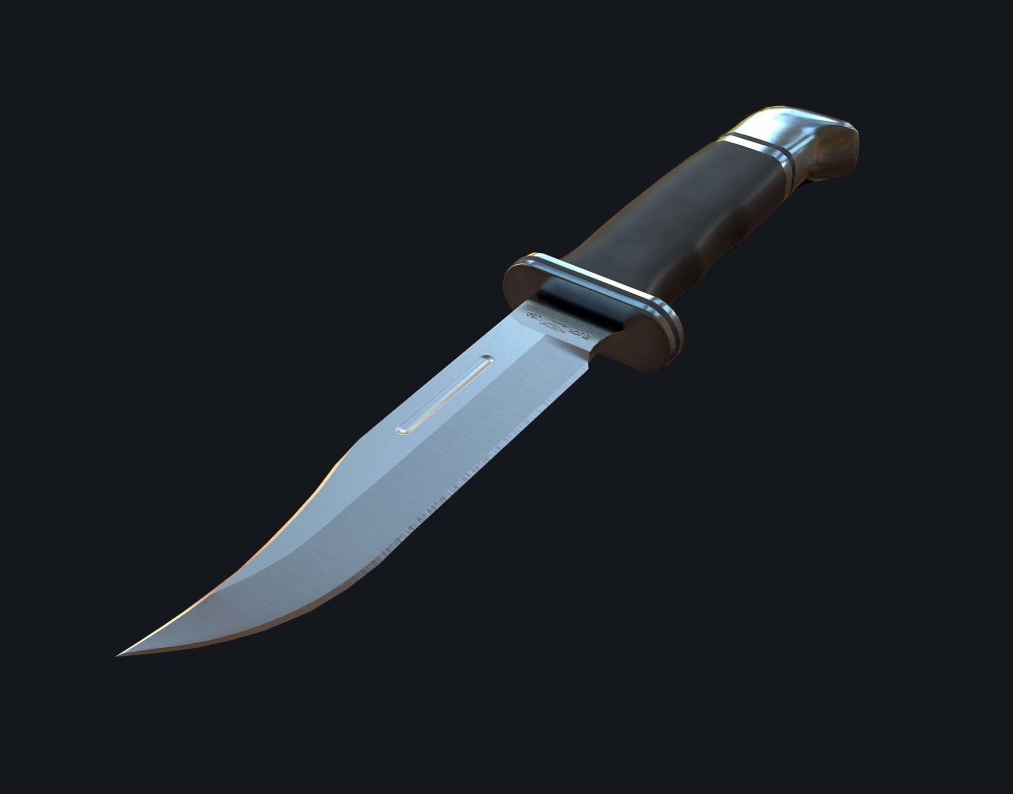 Combat Buck Knife 3D asset | CGTrader