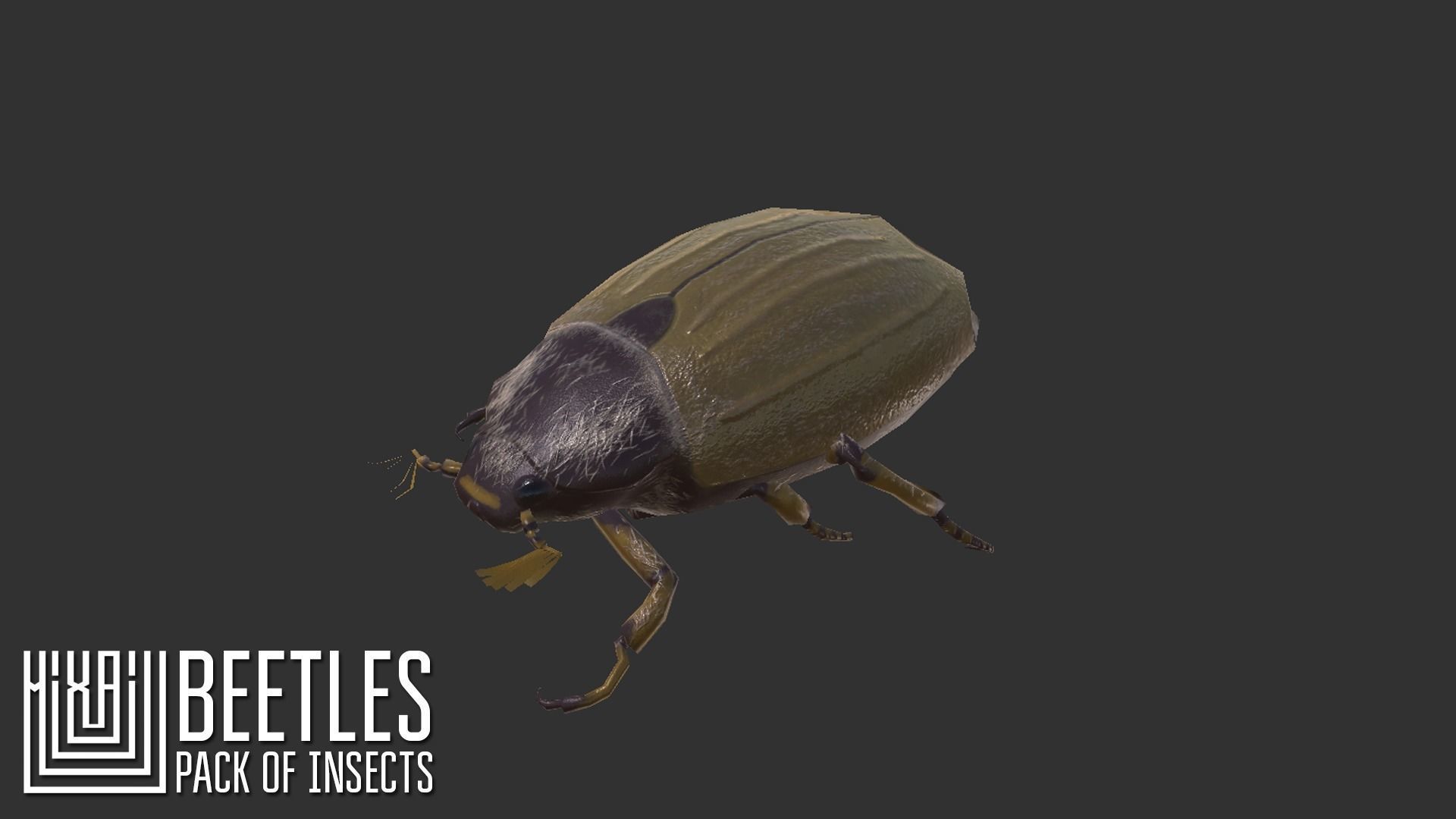 3D model Beetles - pack of insects VR / AR / low-poly rigged | CGTrader