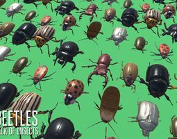 Free Insect 3D Models | CGTrader