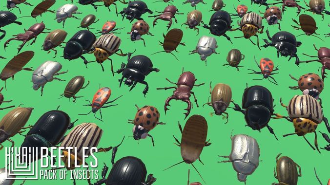 3D model Beetles - pack of insects VR / AR / low-poly rigged | CGTrader