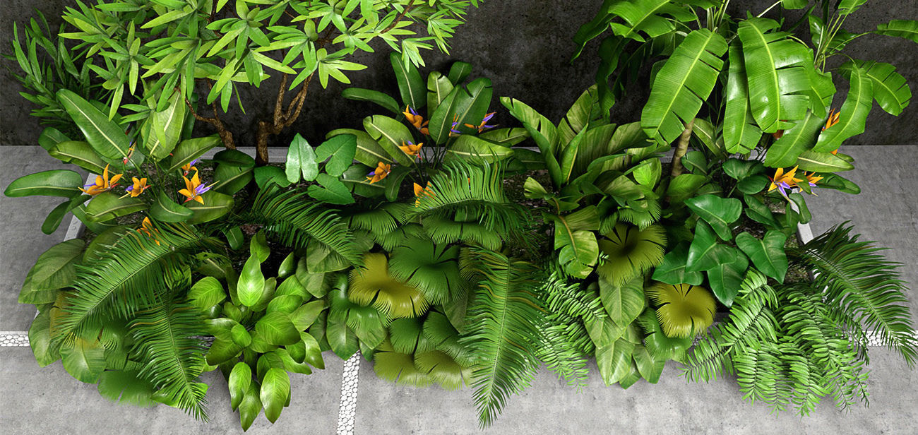 Tropic group of tropical plants 3D model | CGTrader