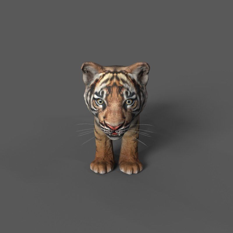 3D model Tiger Cub Game Ready VR / AR / low-poly | CGTrader