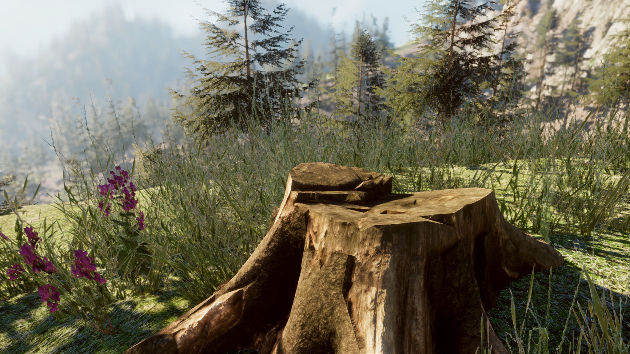 3D model 17 Photo-scanned Conifer Stumps VR / AR / low-poly | CGTrader