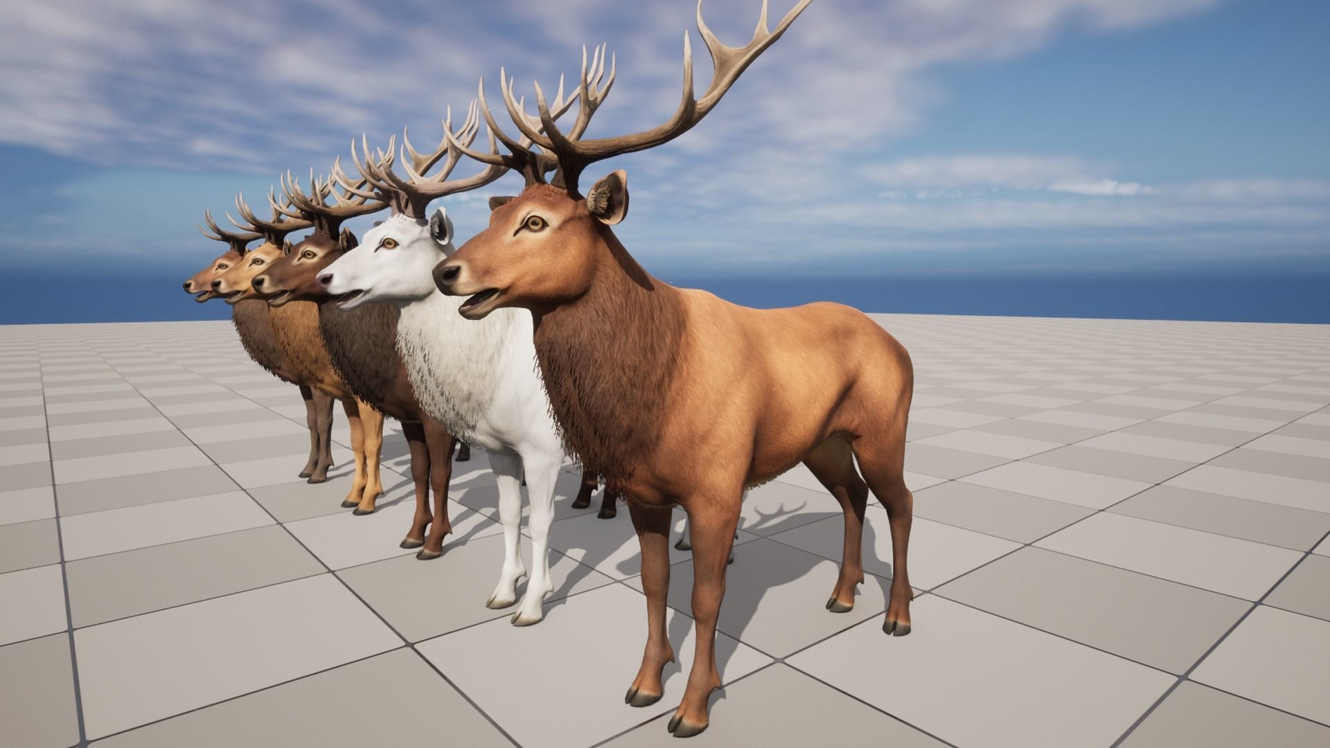 3D model Red Deer stag VR / AR / low-poly rigged animated | CGTrader