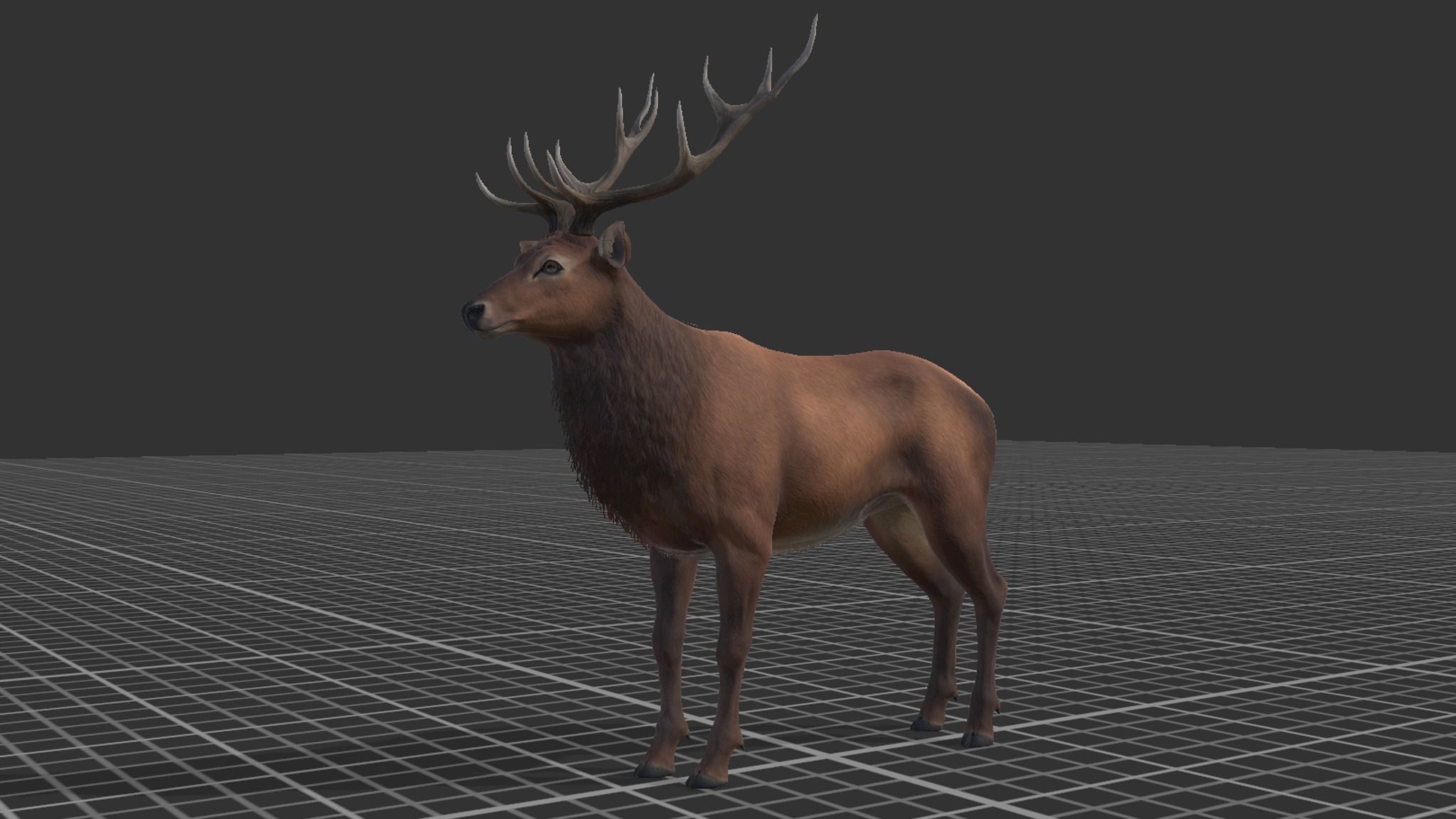 3D model Red Deer stag VR / AR / low-poly rigged animated | CGTrader