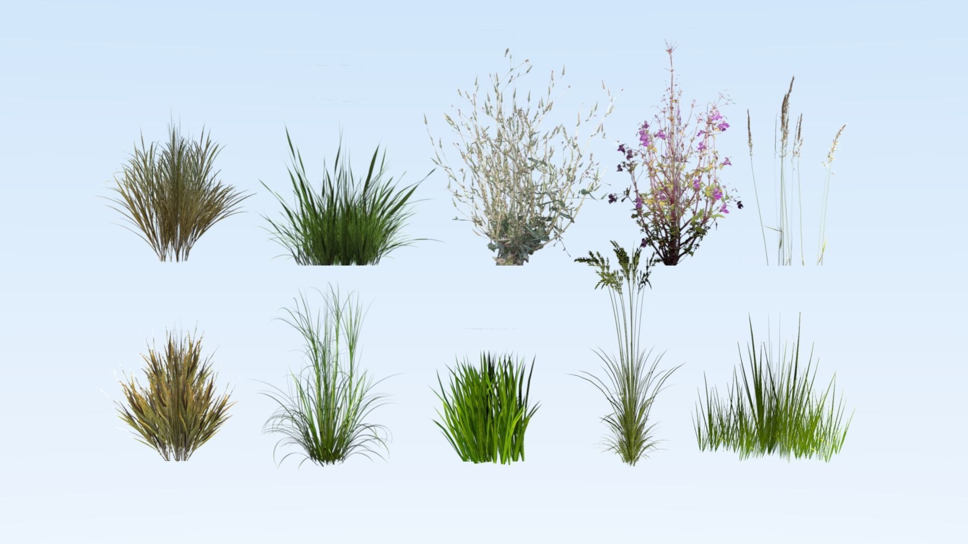3D model Lowpoly grass set in pot VR / AR / low-poly | CGTrader