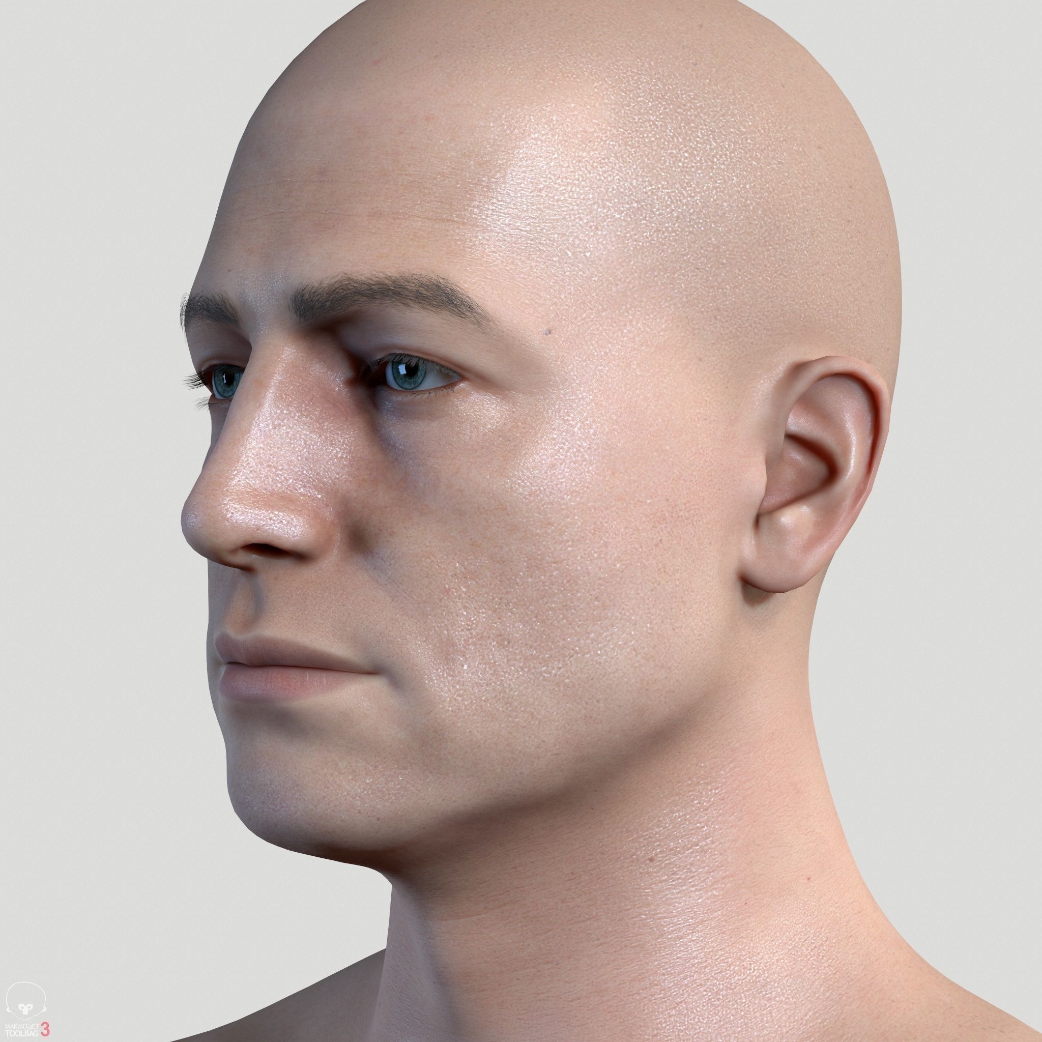 3D model Average Caucasian Male Body VR / AR / low-poly | CGTrader
