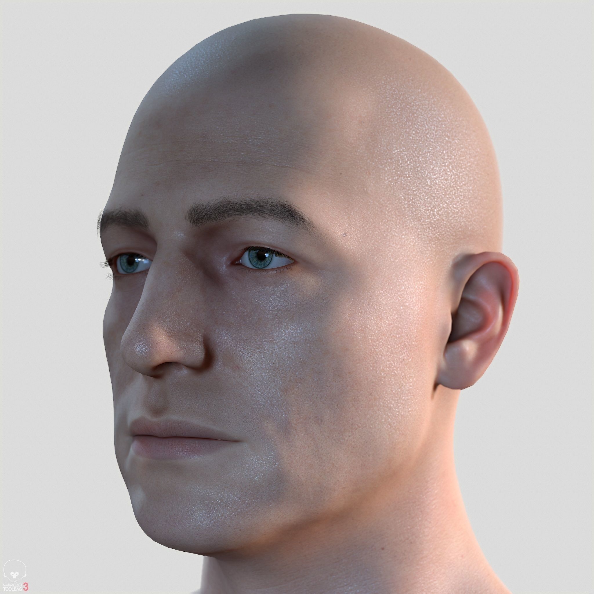 3D model Average Caucasian Male Body VR / AR / low-poly | CGTrader