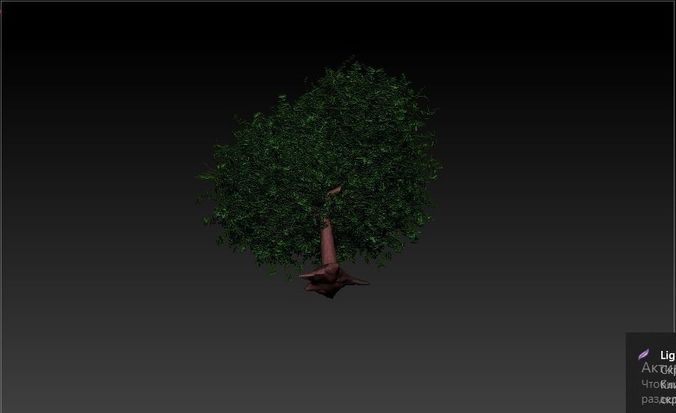 tree 3d with no leaves 3D model | CGTrader