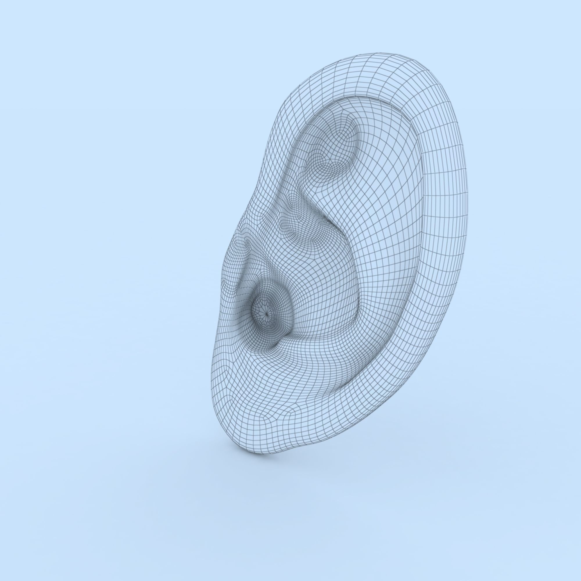 3D model Ear 3D Model Updated VR / AR / low-poly | CGTrader