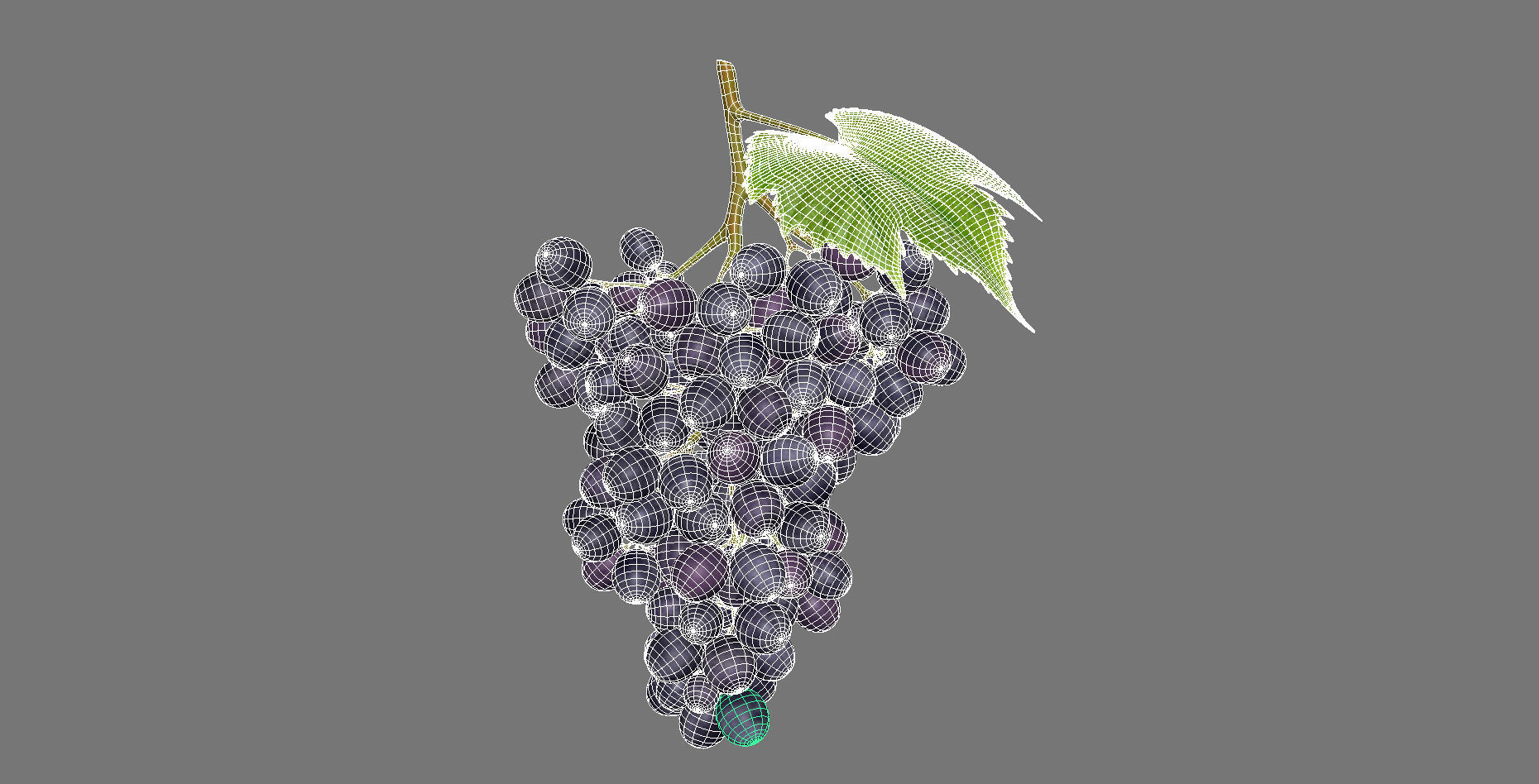 Grape grapes 3D model | CGTrader